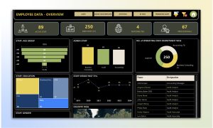 MIS Dashboard - Difinity Digital